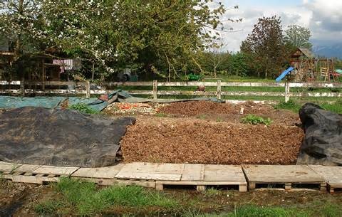 Ferma de … râme. - Jurnalul Bucurestiului