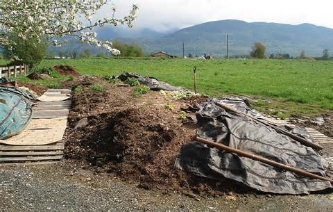 Ferma de … râme. - Jurnalul Bucurestiului