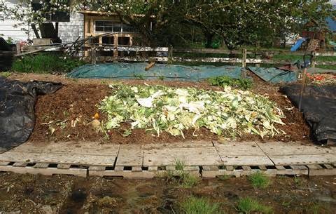 Ferma de … râme. - Jurnalul Bucurestiului